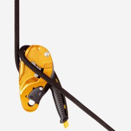 Petzl I'D Belay Device Descender